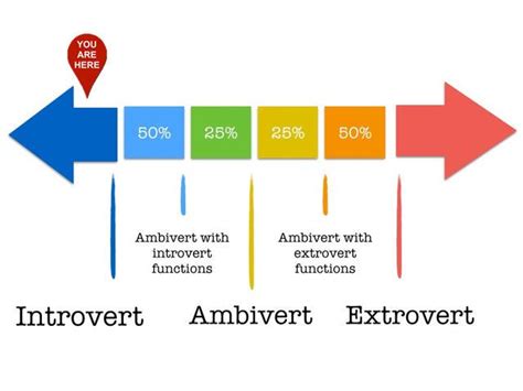 Where Do You Lie On The Introversion Scale Extroverted Introvert