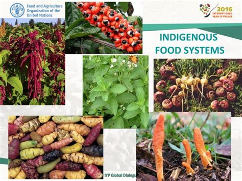 Indigenous Food Systems Ppt Food Movements Food And Drink