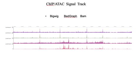 Hic数据分析 三维基因组可视化 Washu Browser 《三维基因组学学习笔记》 极客文档
