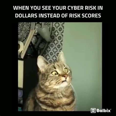 Balbix On Linkedin Cybersecuritymemes Infosecmemes Infosec