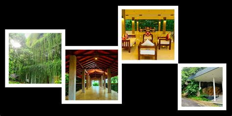 Our Story Kithul Kanda