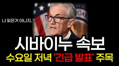 긴급속보 11월12일화 시바이누 수요일 저녁 긴급 발표 주목하라 Youtube