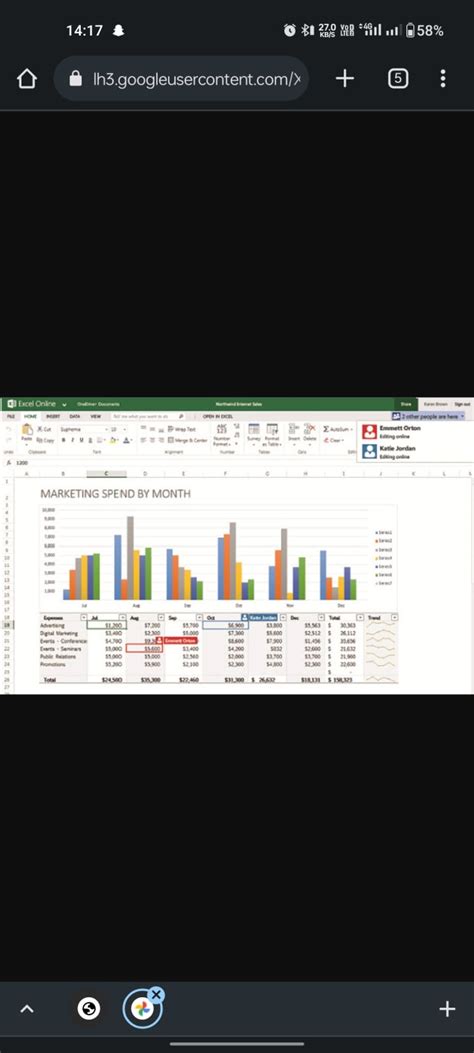 do excel formatting graphs pivot table data entry and data entry by aakash25nov fiverr