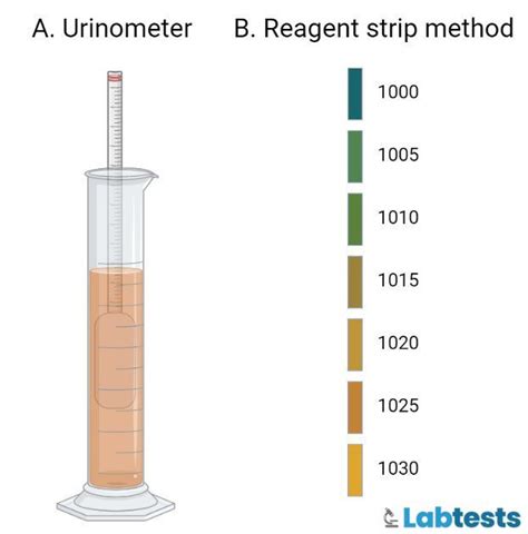 Urine Specific Gravity Urine Specific Gravity And Ph Values Among