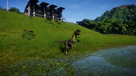 A Tour Of My Isla Matanceros Frontier Forums