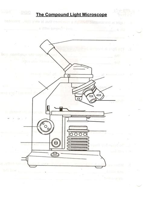 Biology The Compound Light Microscope Labeling Diagram Quizlet