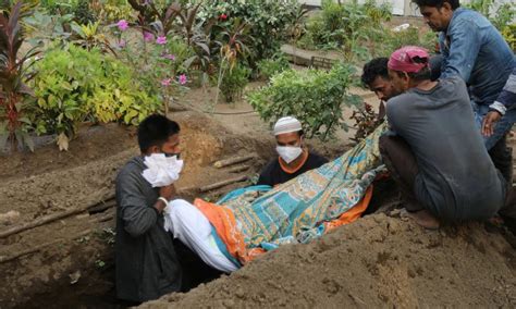 Tổ Tiên 7 Không Chôn Cha 8 Không Chôn Mẹ Nghĩa Là Gì