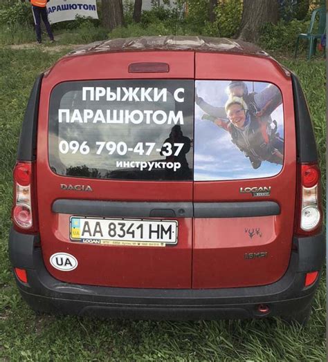 Наклейки на заднее стекло автомобиля
