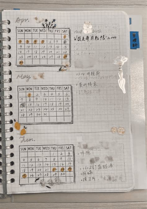 整理師の子彈筆記：六個月使用心得、極簡格式分享，簡單好上手 Nice Tidy｜整理師 紫恩