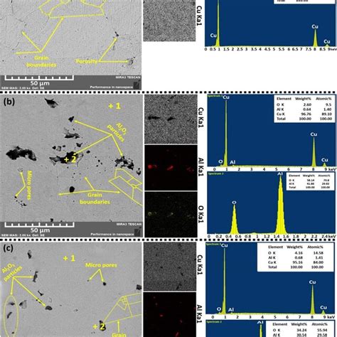 Fe Sem Micrographs And Edxs Analysis Of A Cu B Cu 10al 2 O 3 And Download Scientific
