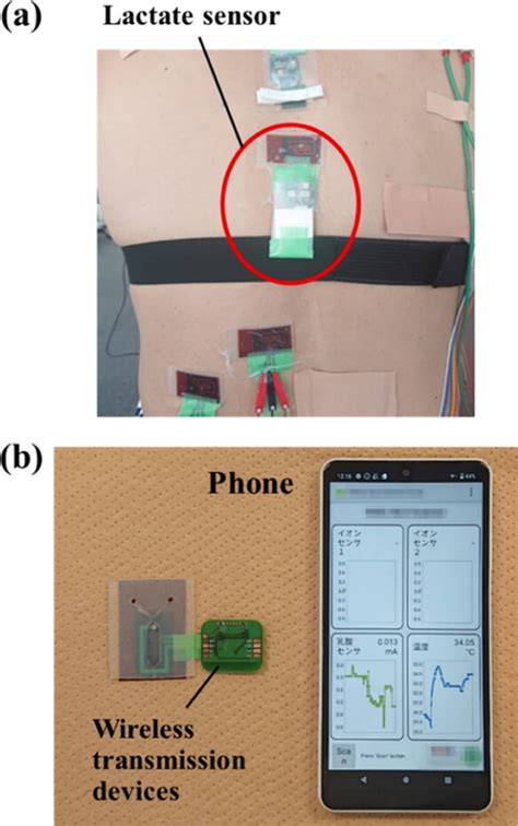 Continuous Lactate Sensor At Walter Abbott Blog