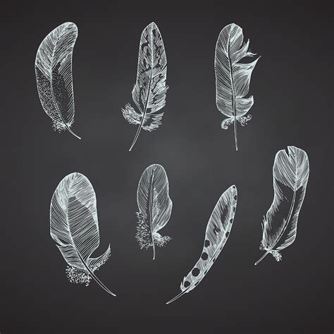 칠판 배경에 새 깃털의 현실적인 스케치 설정 자세한 잉크 라인 펜 클립 아트 흑백 Boho 클립 아트 손으로 그린 조각 스타일 깃털 빈티지 벡터 일러스트 프리미엄 벡터