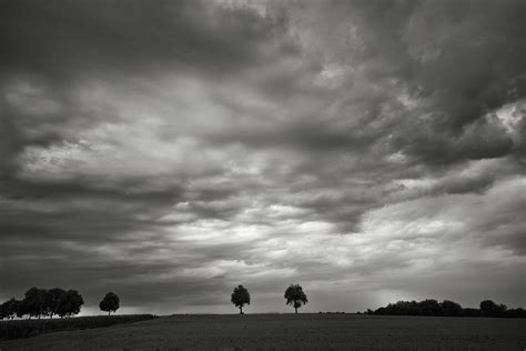 Even More Wonderful Trees Of The Ries Stefan Baeurle