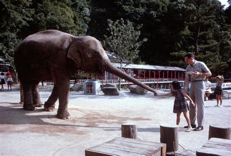 Slides To Print The Best Way To Print Photos From Slides