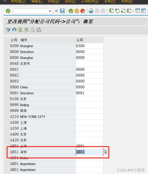 sap s4 fi后台详细配置教程 part1 （通用配置及基础架构篇） sap s4 fico配置清单 csdn博客