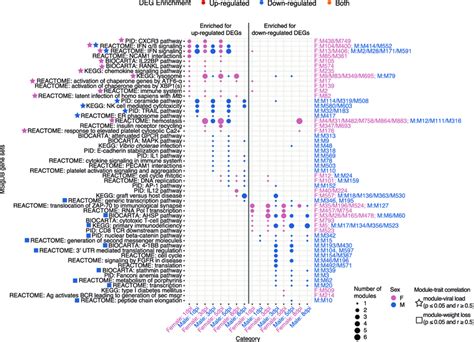 Co Expressed Gene Module Functions And Temporal Responses Download Scientific Diagram