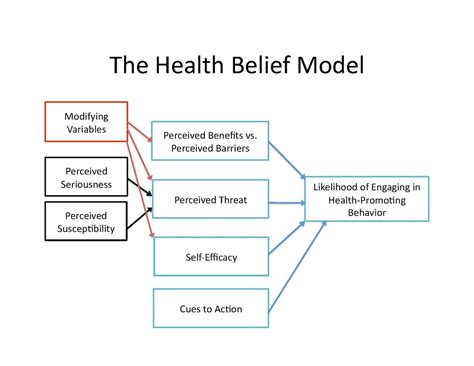 Health Belief Model Rosenstoch Becker Maiman Diagram Quizlet