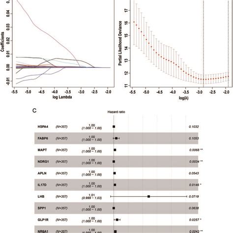 Construction Of The Prognostic Model For Hepatocellular Carcinoma Download Scientific Diagram