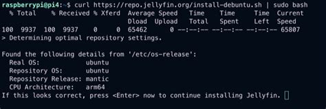 Installing And Configuring Jellyfin On Ubuntu Server Raspberrytips