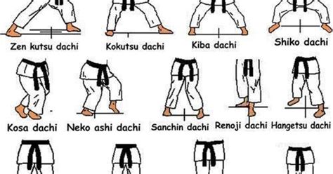Karatê Shotokan O Estilo Shotokan