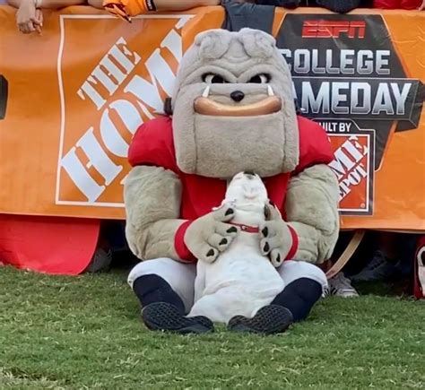 University Of Georgia Cheerleaders Get To Know Uga Cheerleader