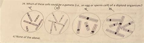 Solved E Chegg