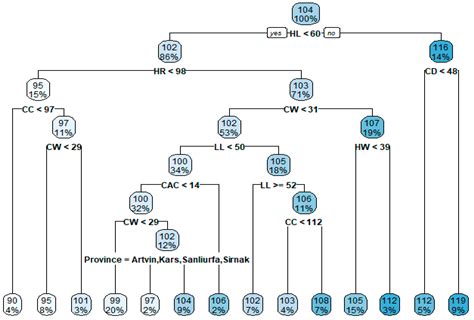 Animals Free Full Text Investigation Of The Relationships Between