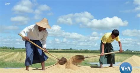 စစ်အာဏာသိမ်းပြီးနောက်ပိုင်း မြန်မာ့လယ်ယာမြေအရေး လှုပ်ရှားခွင့်အခြေအနေ