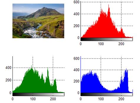 Sample Image And Histograms Download Scientific Diagram