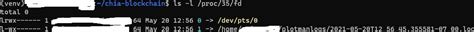 WSL Version 1 Locks Process Files Which Prevents Them From Being Read