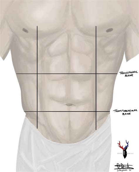 Transtubercular Plane