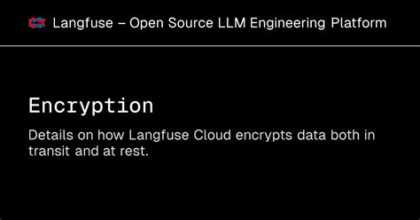 Encryption Langfuse