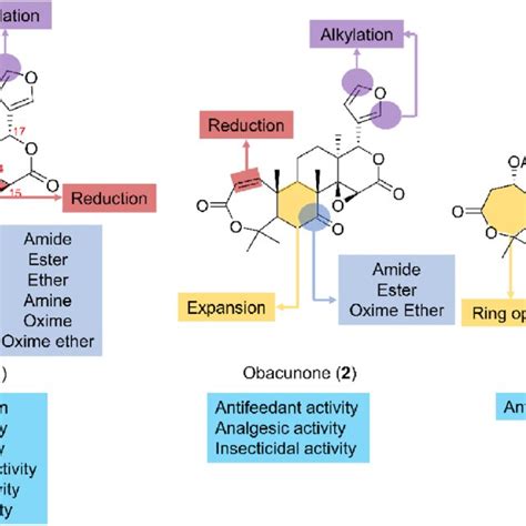 Structure Activity Relationships Sars Of Limonoid Derivatives