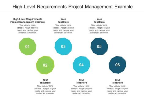 High Level Requirements Project Management Example Ppt Powerpoint Presentation Summary Graphics