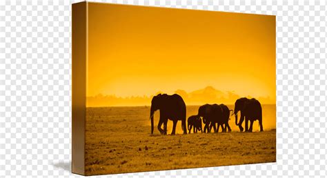 PostgreSQL 10 كتاب طبخ الإدارة أكثر من 165 وصفة فعالة لإدارة وصيانة