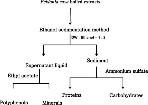 Extraction Approaches Of Ebe Using Solvent Solvent Partition Chromatography Download