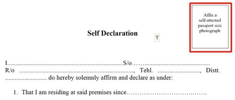 Self Declaration Form Punjab Fill And Download Pdf Free Online