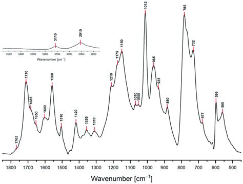 Ftir Spectrum Of Hardened Pfa In The Spectral Region 1850 450 Cm −1 Download Scientific