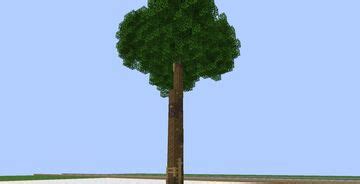 Arbres Minecraft Maps With Downloadable Schematic Planet Minecraft Community
