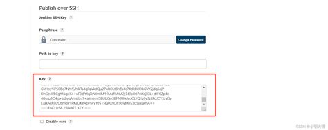 Jenkins 插件【publish Over Ssh】的使用说明 Csdn博客