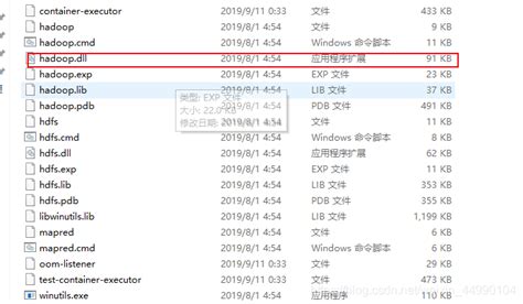 （hadoop）hadoophome And Hadoophomedir Are Unset Dhadoophomedir Csdn博客