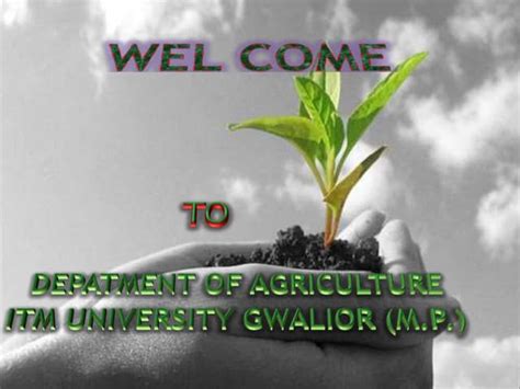 Methods Of Weed Control Docx