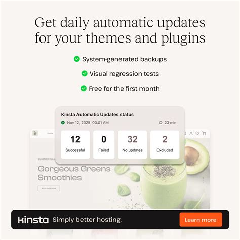 Automate Wordpress Plugin And Theme Updates Kinsta®