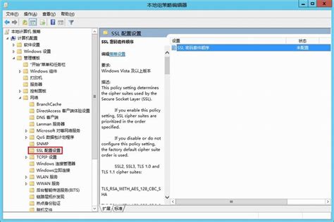windows server 远程桌面 ssl tls 漏洞修复 远程桌面的加密算法修改 csdn博客