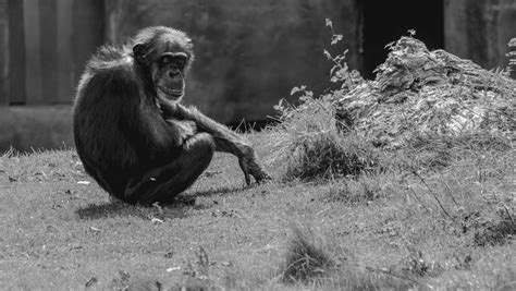 Why I Am Not Yet Ready To Switch To Zig From Rust