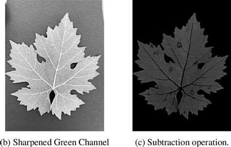 Figure 1 From Knn Algorithm With Dtw Distance For Signature Classification Of Wine Leaves
