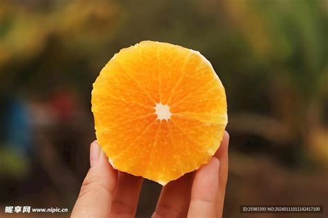 桔柚摄影图水果生物世界摄影图库昵图网