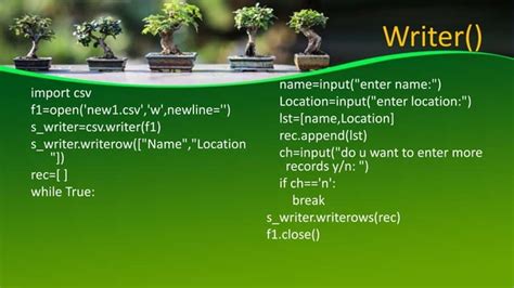 cbse class 12 ch 5 file handling access mode csv binary file