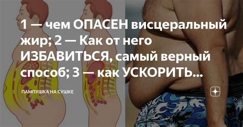 1 — чем ОПАСЕН висцеральный жир 2 — Как от него ИЗБАВИТЬСЯ самый верный способ 3 — как