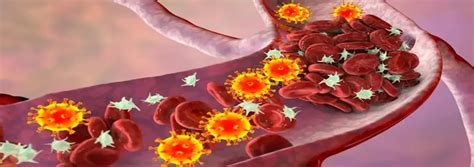 Antithrombin Deficiency A Complete Guide To Causes Symptoms And